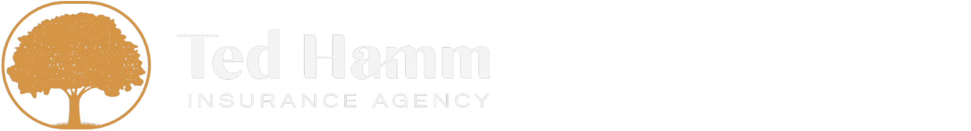 Ted Hamm Insurance Agency Delivers Hope | Convoy of Hope